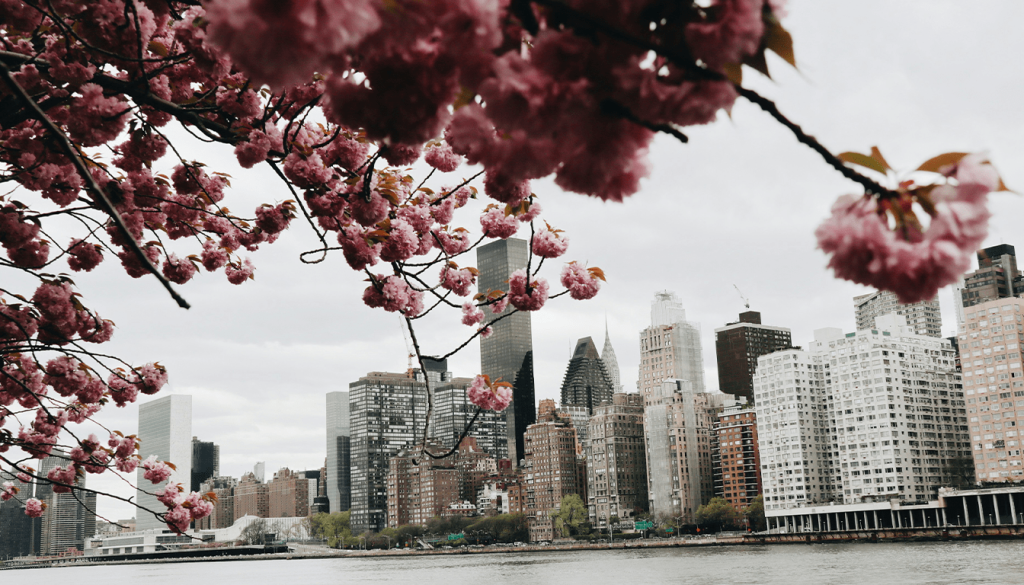Top 6 Things to do In NYC in Spring